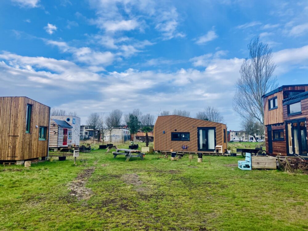 Open Dag Tussentij – TinyFindy