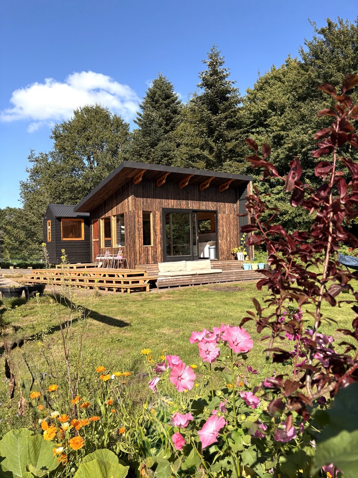 Unique, Eco Forest House - TinyFindy